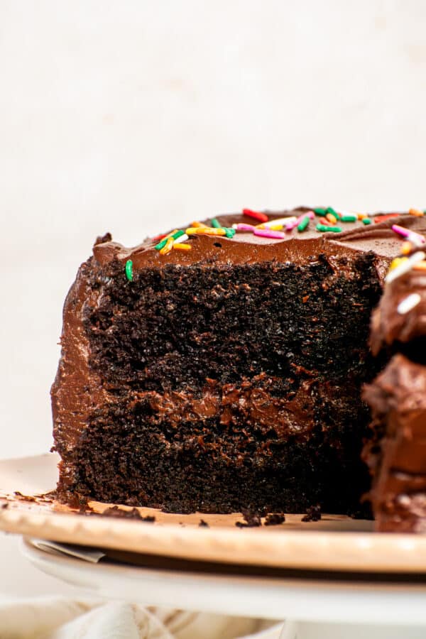 Best Chocolate Cake Recipe (Super Moist & Fudgy)